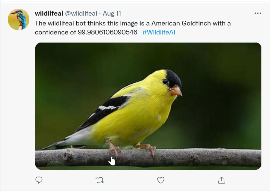 Building a Wildlife AI Twitter Bot with Logic Apps and Microsoft AI for ...
